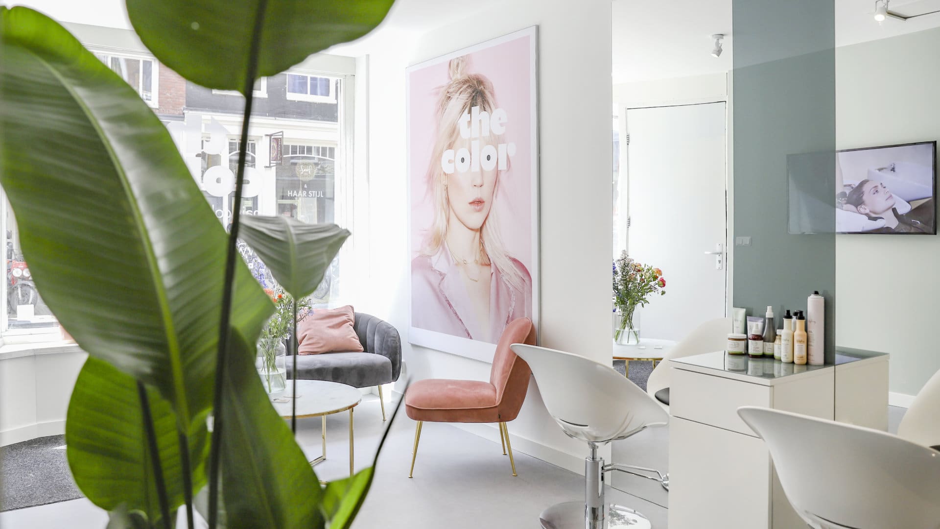 Salons — The Color